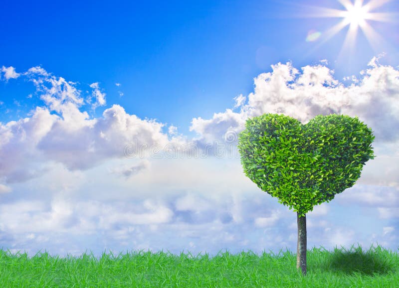 Heart Tree stock illustration. Illustration of angel - 54224502