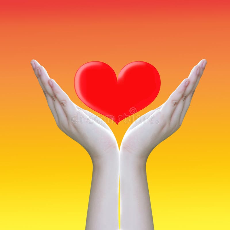 Heart in two hands stock photo. Image of gift, love, passion - 35588012