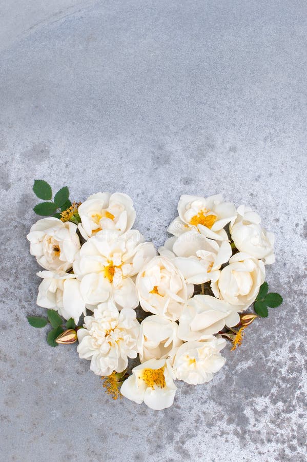 Heart of White Vintage Roses on the Grey Textured Table Stock Photo ...