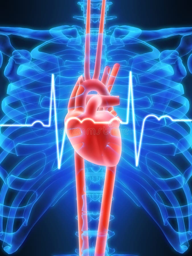 Heartbeat stock illustration. Illustration of frequency - 2807936