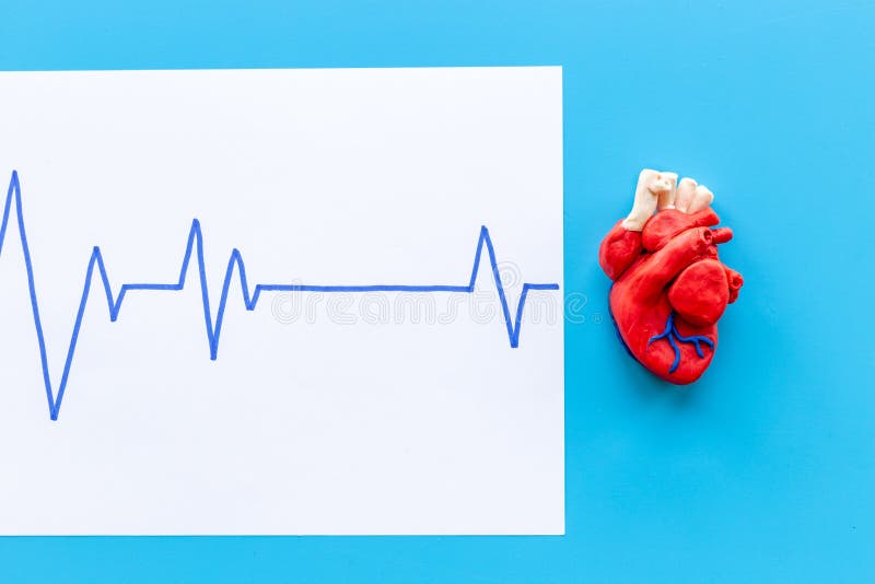 Heartbeat or Heart Rate with Human Heart Model, Top View Stock Image ...
