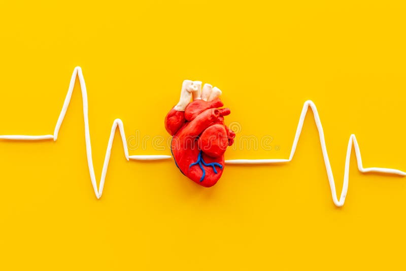 Heartbeat or Heart Rate with Human Heart Model, Top View Stock Photo ...