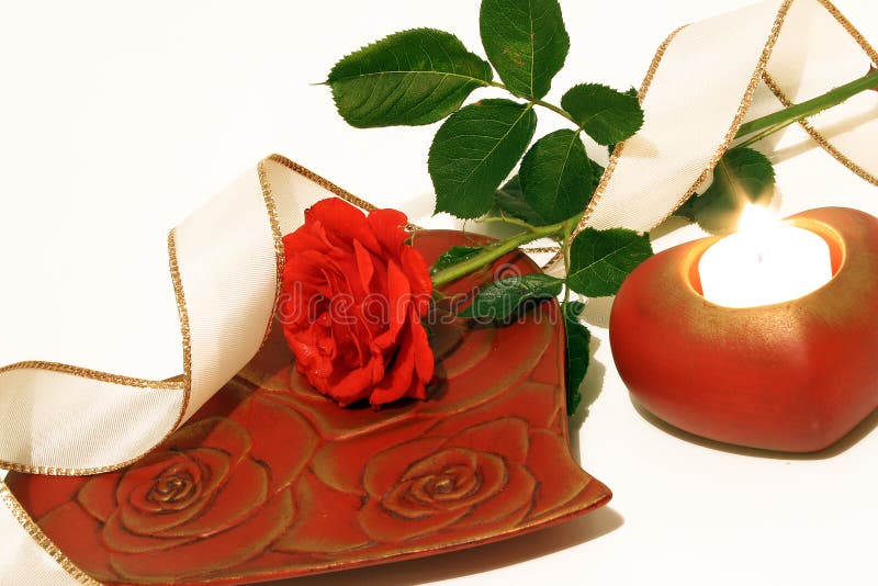 Heartily stock photo. Image of petal, darling, present - 11816284