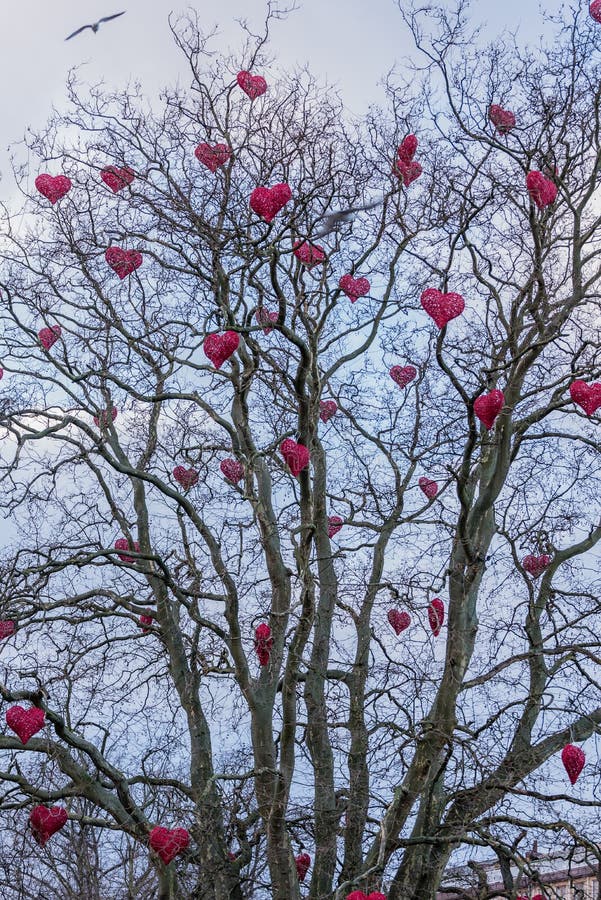 Hearts on the tree stock photo. Image of design, romantic - 120990040