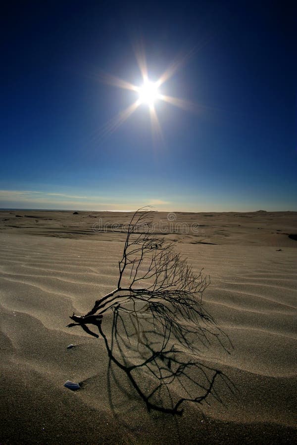 The Heat in the Desert Dunes Stock Image - Image of drought, warm: 2817299