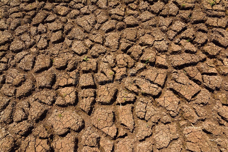 Heat , Drought Parched Ground . Stock Image - Image of drought, grounds ...