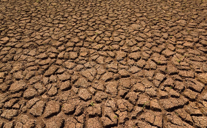 Heat , Drought Parched Ground . Stock Photo - Image of dirt, green ...