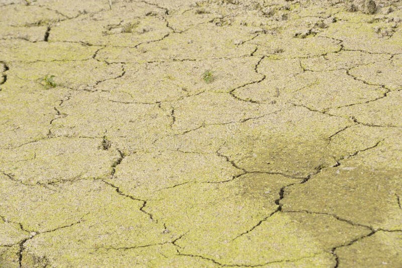 Heat and dryness in nature stock image. Image of rain - 185957599