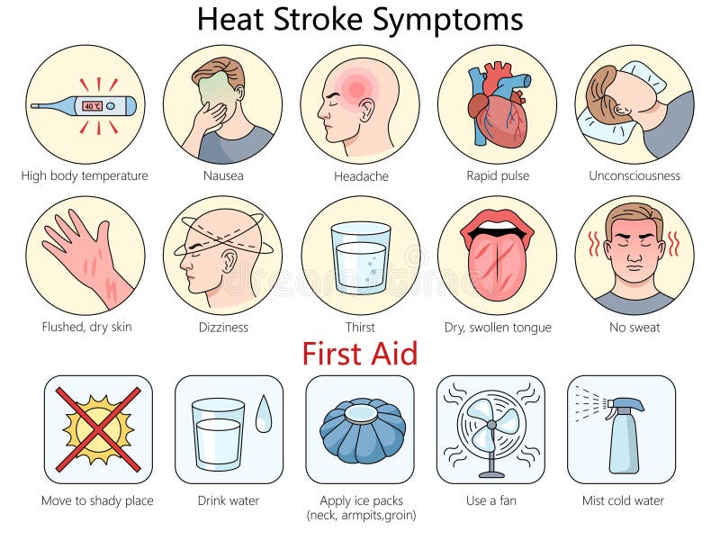 Symptoms First Aid Heat Stroke Explained Diagram Stock Vector ...