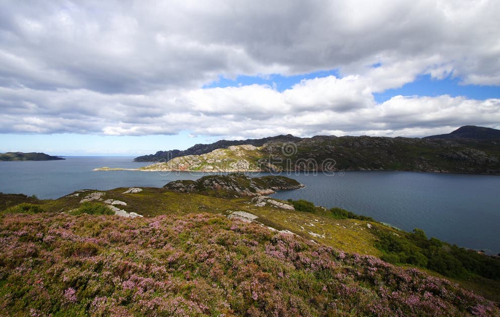 Heath and Highlands, Torridon, Scotland Stock Image - Image of green ...
