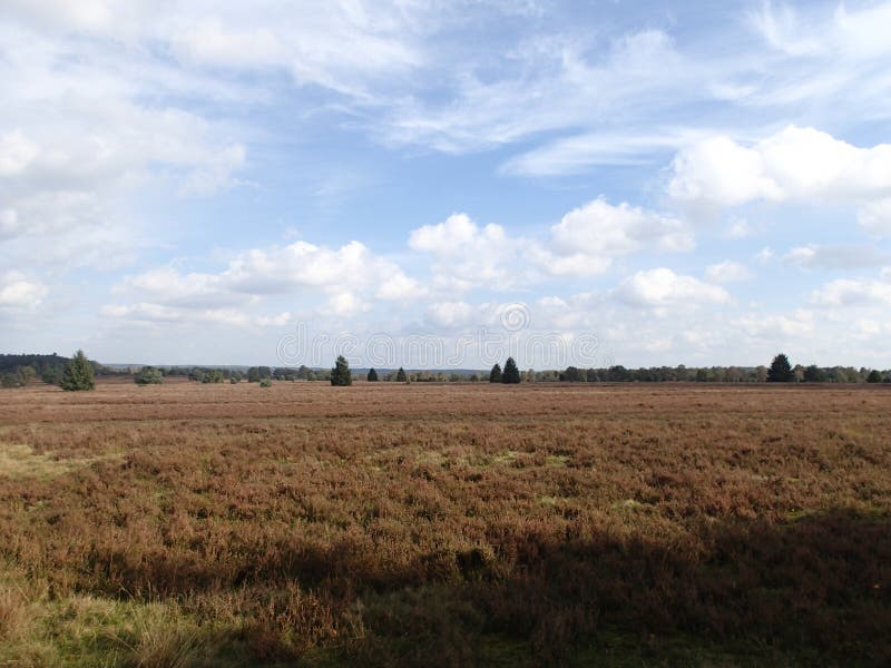 Heathen stock photo. Image of nature, fall, landscape - 45538864