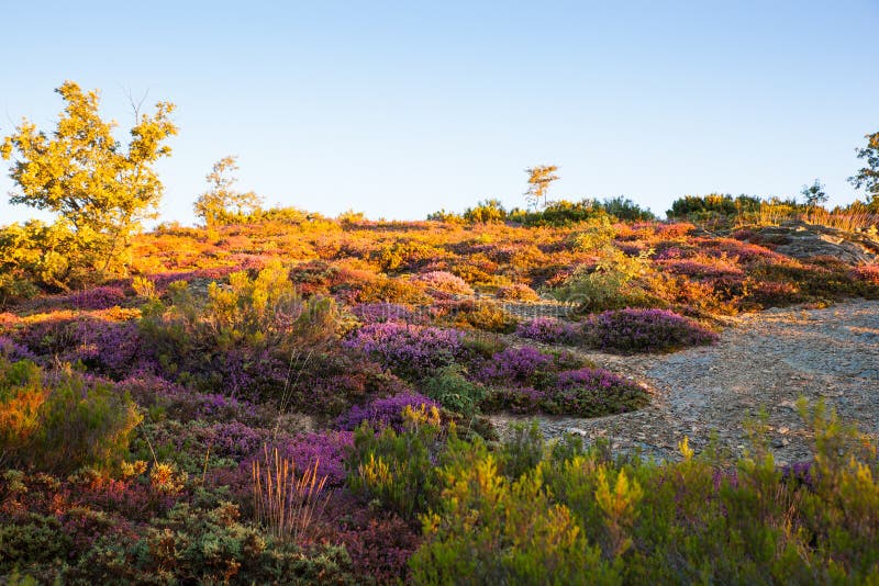 Spanish countryside stock image. Image of grass, agricultural - 34230113