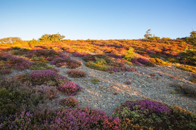 Spanish countryside stock image. Image of bright, rural - 74020199