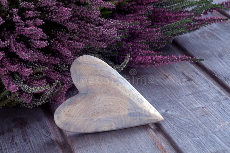 Heather_heart_copyspace stock photo. Image of weathered - 60087944