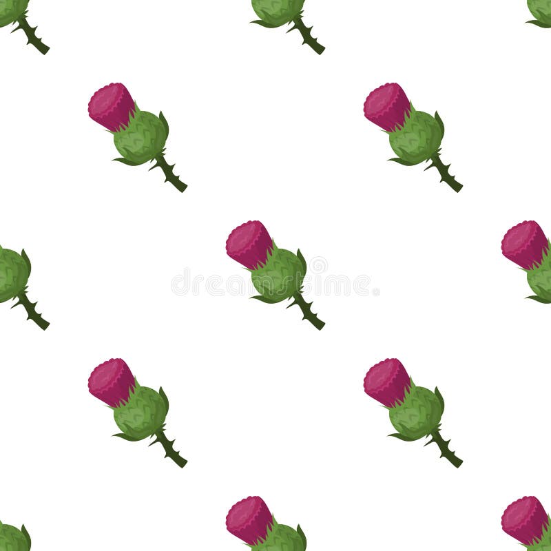 Calluna Vulgaris Flower Stock Illustrations – 54 Calluna Vulgaris ...