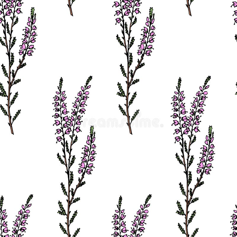Heather seamless pattern stock vector. Illustration of backdrop - 86252545