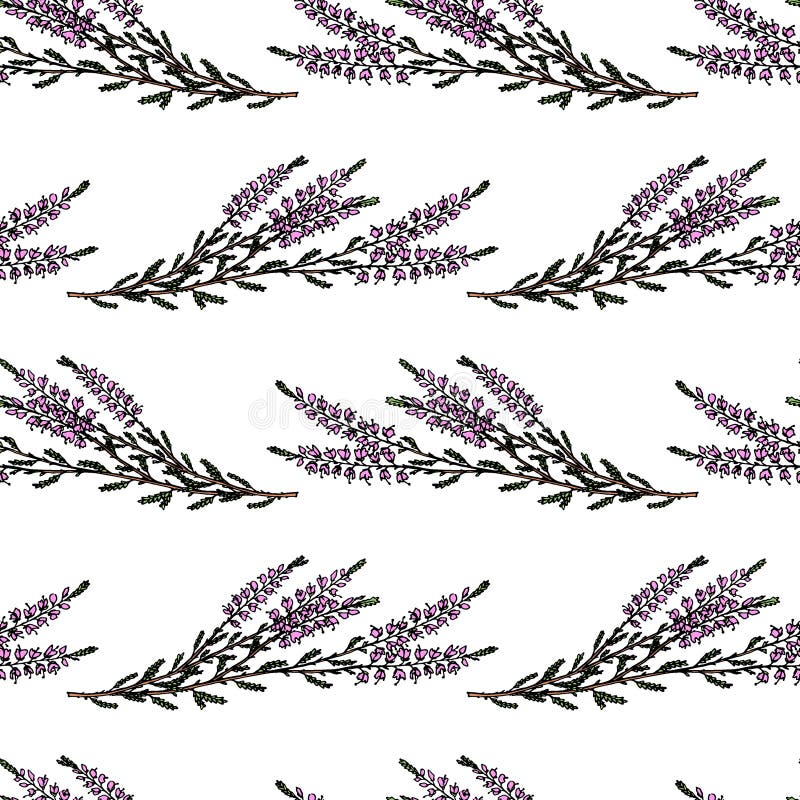 Heather seamless pattern stock vector. Illustration of europe - 87297230