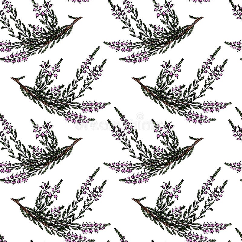 Heather seamless pattern stock vector. Illustration of erica - 87297327
