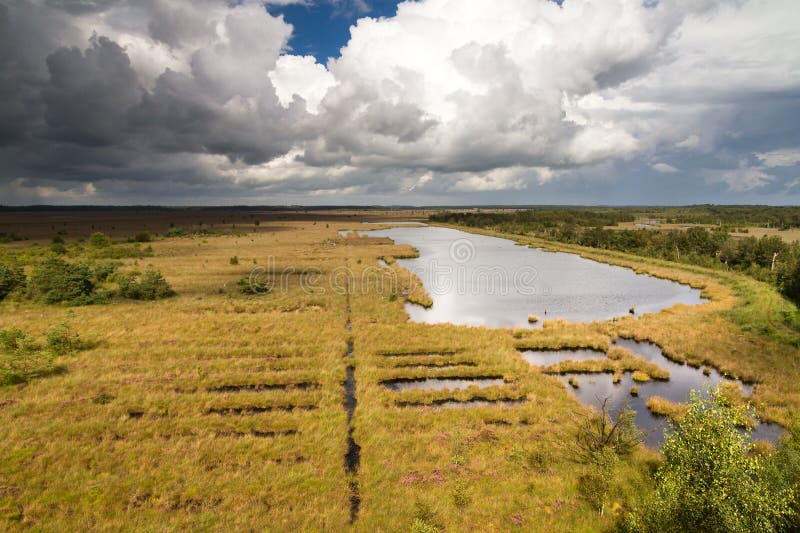 Heathland landscape stock image. Image of flora, horizon - 28034753