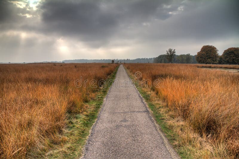Heathland path stock photo. Image of outdoor, autumn - 29678762