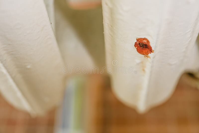 Heating system renovation stock image. Image of home - 374740015