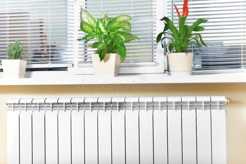 Arm Put on Heating White Radiator.Windowsill with Flowers. Stock Image ...
