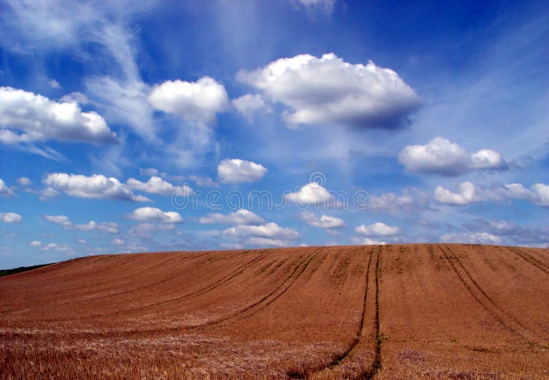 Heaven + earth stock photo. Image of golden, cumulus, fields - 85522
