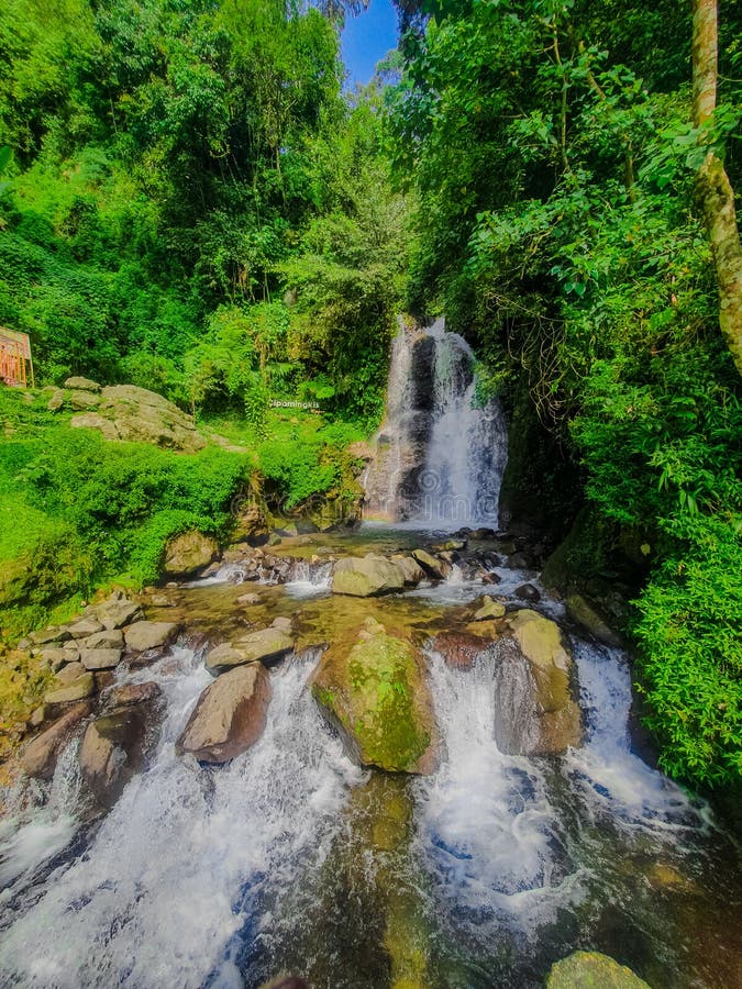 Heaven of Earth stock photo. Image of forest, tree, creek - 261793630