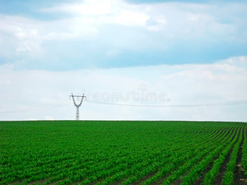 Heaven and green field stock image. Image of field, level - 8110041