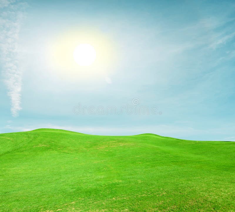 Heavenly Field stock photo. Image of farm, lawn, grassland - 25478422