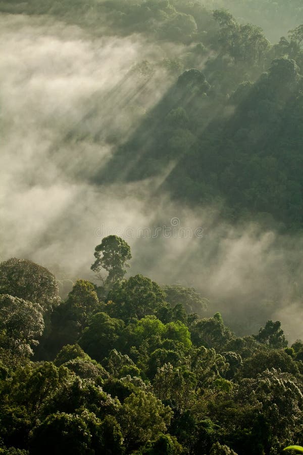 Heavenly light on hills stock photo. Image of heaven - 61036366