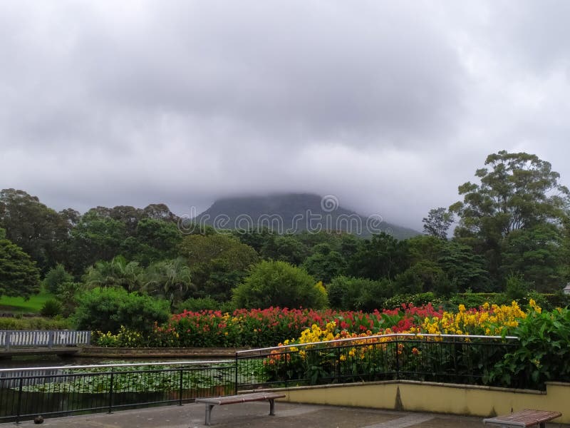 A heavenly path stock photo. Image of path, garden, heavenly - 238589608