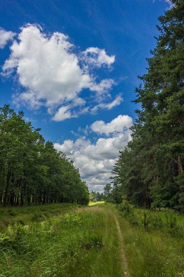 Heavenly road stock image. Image of blue, farm, road - 74595317