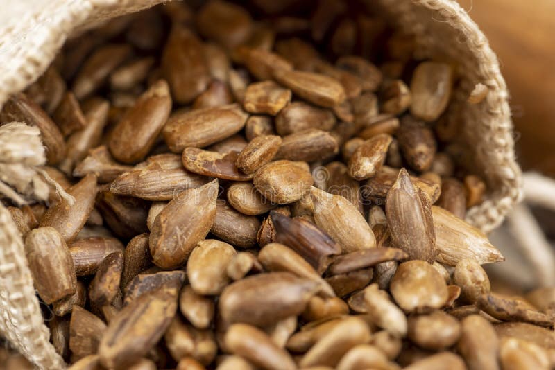 Heavily Fried Sunflower Seeds Close Up Stock Photo - Image of vegetable ...