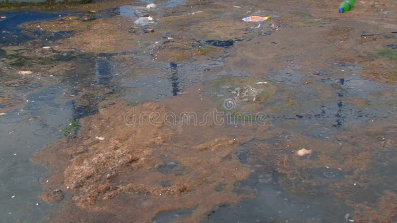 Heavily Polluted Water Surface Stock Video - Video of beach ...