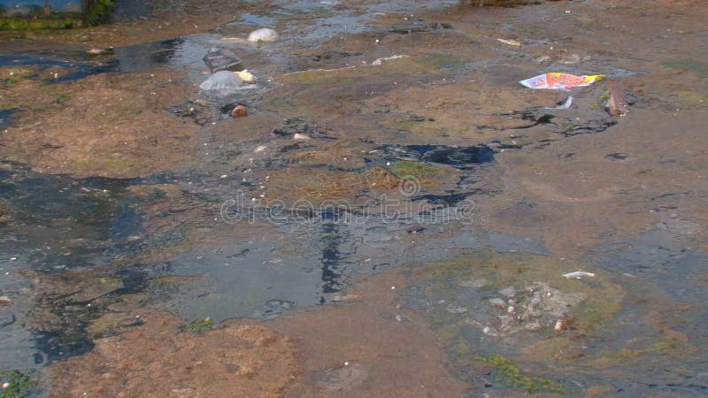 Heavily Polluted Water Surface Stock Footage - Video of ocean, beach ...