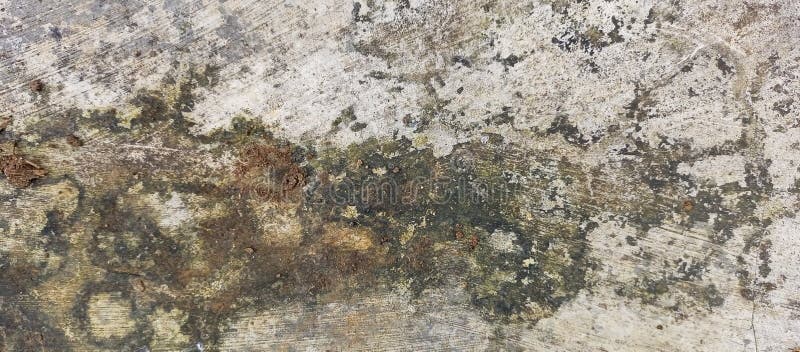 Heavily Stained and Mossy Concrete Surface Texture Stock Image - Image ...