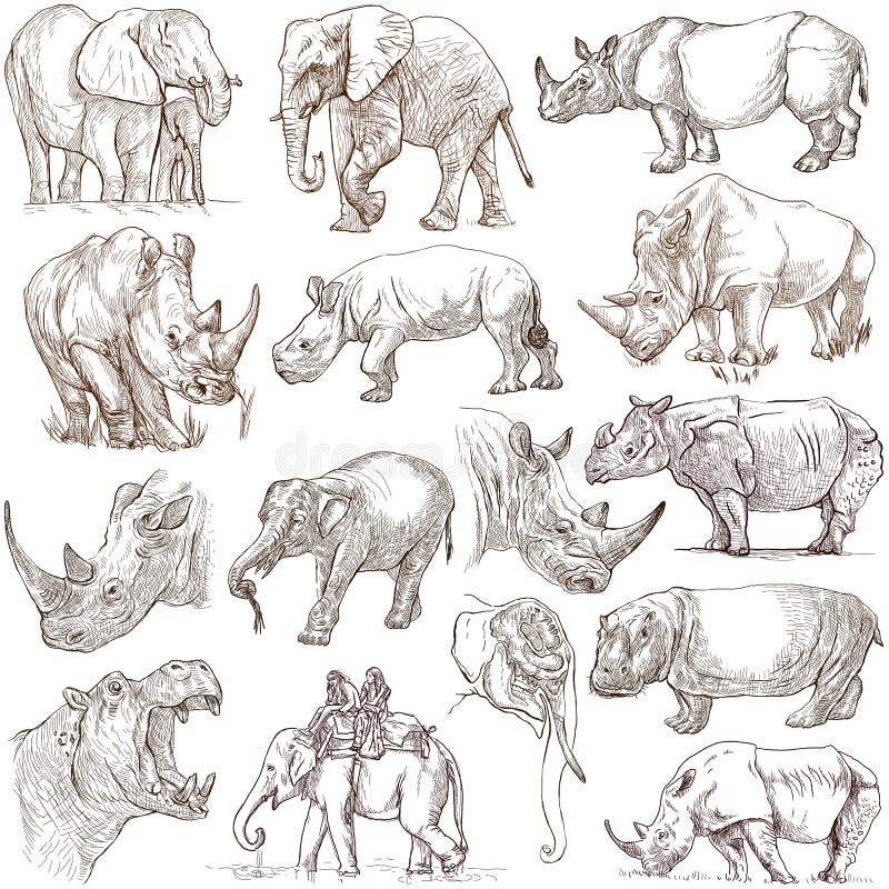 Animals - Hand Drawn Vector Pack Stock Vector - Illustration of moose ...