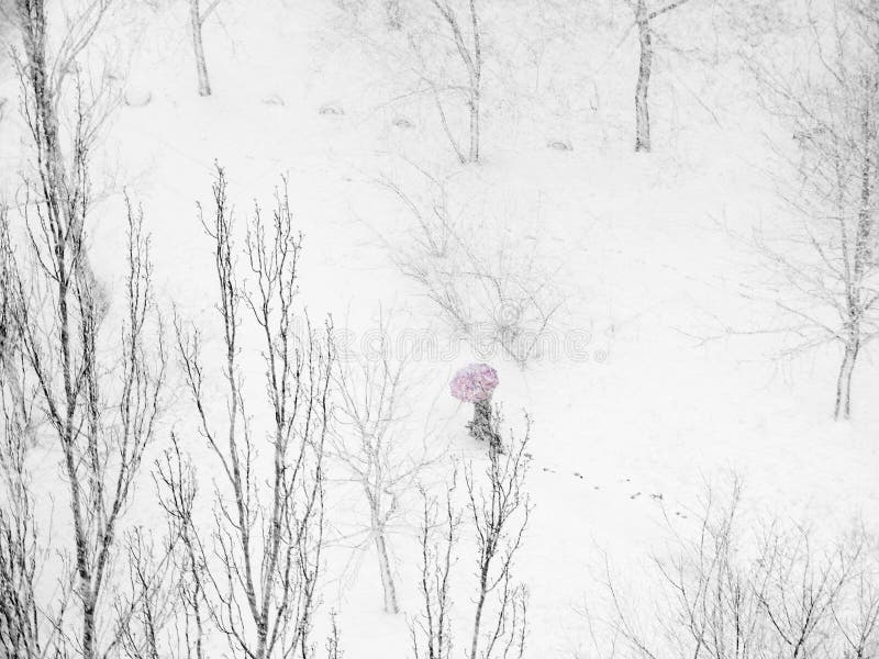 Heavy Blizzard in the City. Winter Weather Stock Image - Image of ...