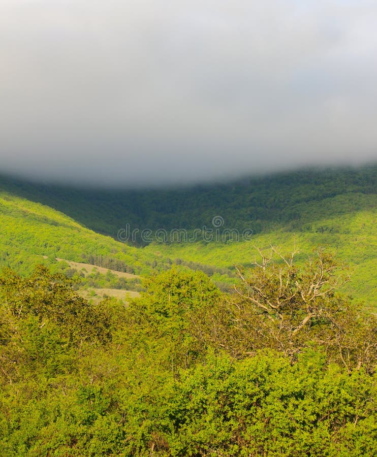Heavy Clouds on the Mountain Stock Photo - Image of fluffy, ground ...