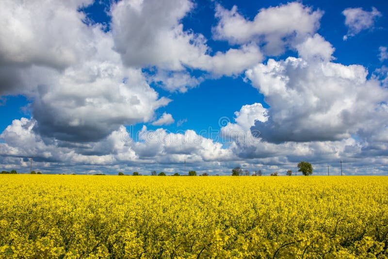 Clouds over the field stock image. Image of countryside - 182748569