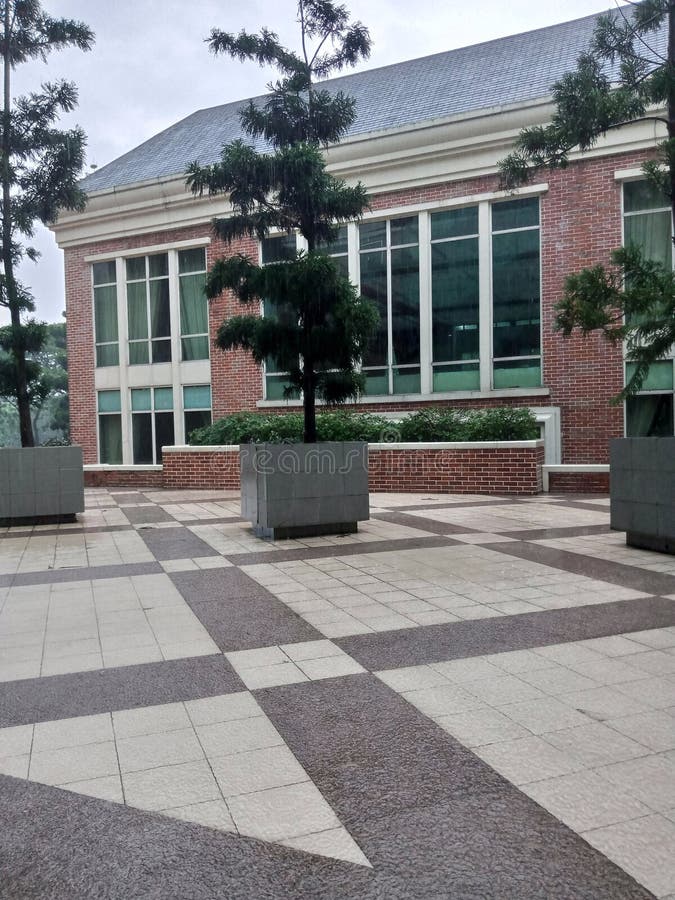 Heavy Drizzle Outside the Building with a View of the Wet Trees Stock ...
