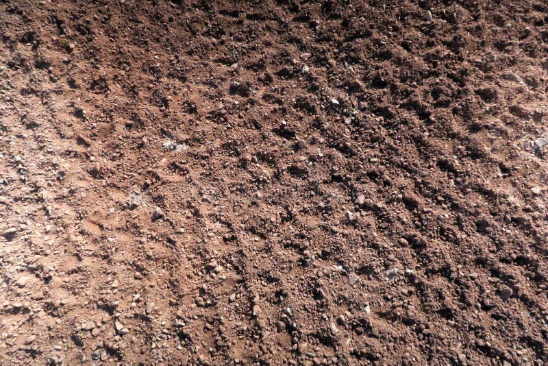 Heavy Dumper Truck Marks in Dirt of Quarry Stock Photo - Image of ...