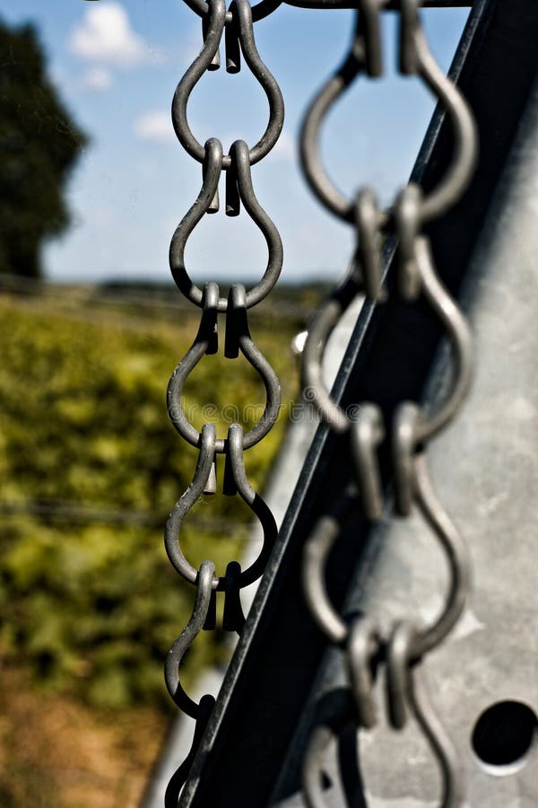 Heavy Duty Chain in a Vineyard Stock Photo - Image of isolated, vines ...