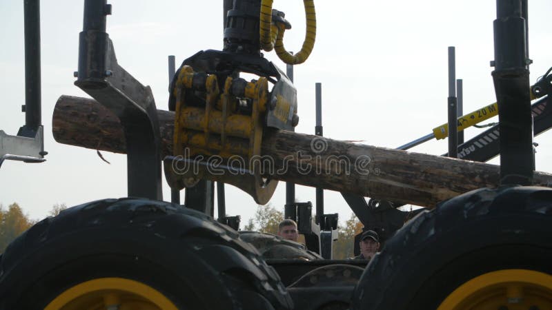 Heavy Equipment Loading with Clipper Cut Logs. Large Log Loader and ...