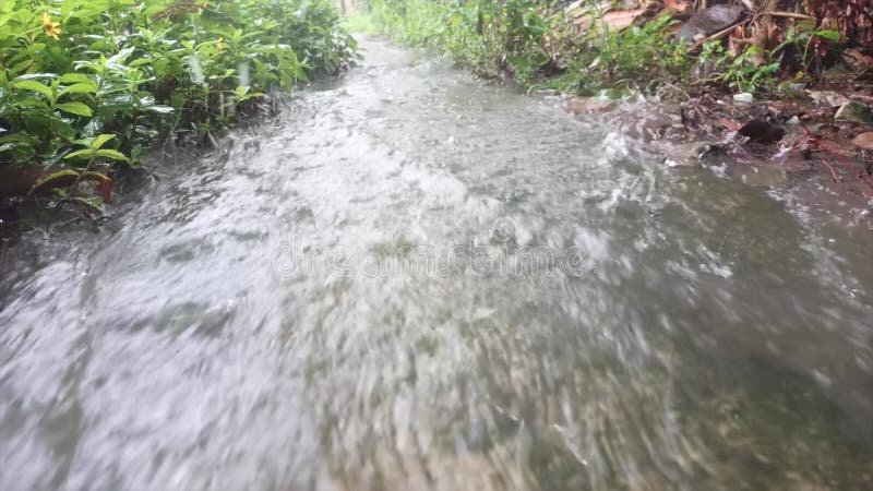 Heavy Flow of Rainwater on the Path in the Yard of the House Stock ...