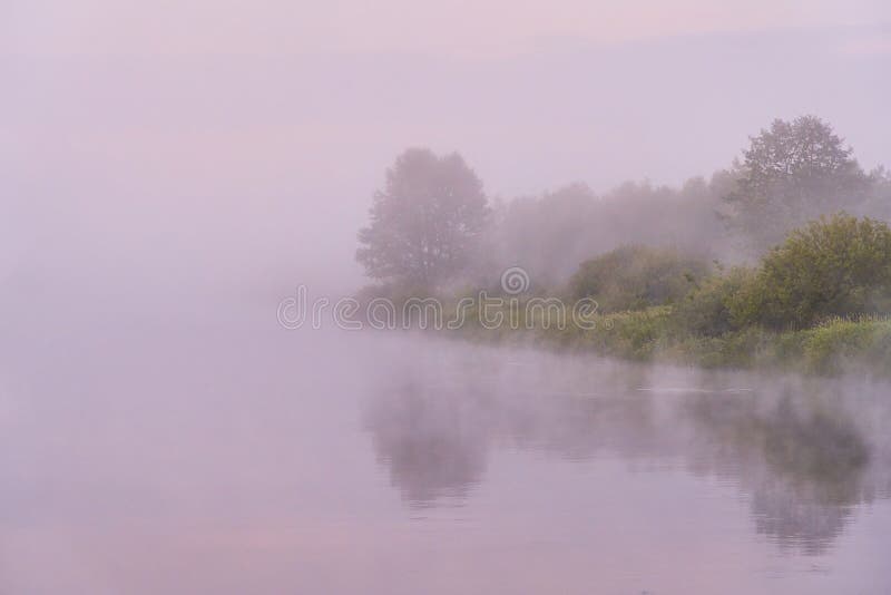Heavy Fog on the River. Trees are Visible through Thick Fog Stock Image ...