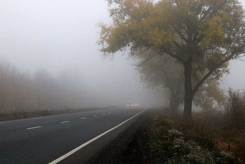Heavy fog on the road. stock image. Image of street - 201099199