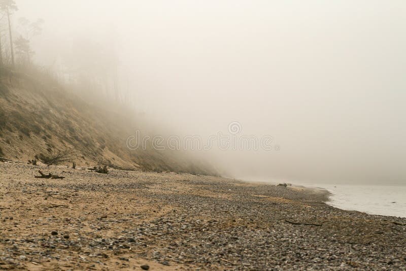 Heavy Fog on a Stranded Beach Stock Photo - Image of pebbles, driftwood ...
