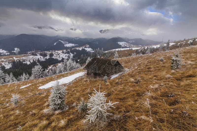 Heavy Frost in the Mountains Stock Photo - Image of frozen, beauty ...